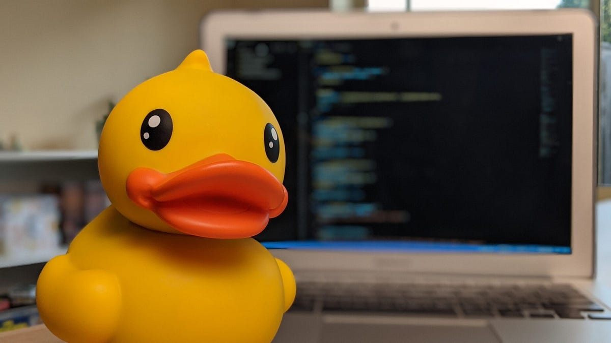 Why a Rubber Duck is important in Software Engineering | by San Tuon ...