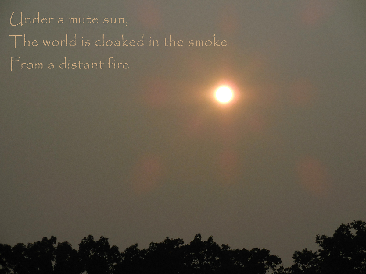 Hazy Wins Today. Haiku for Canadian smoke | by K R Smith | Medium