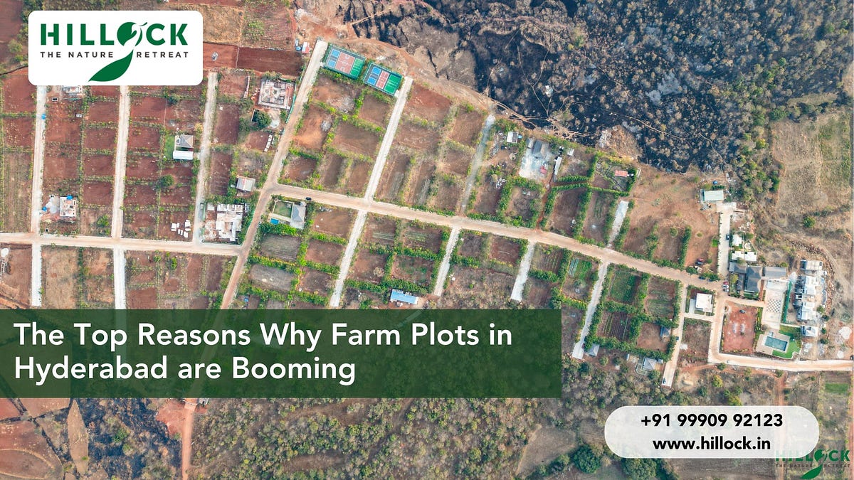 The Top Reasons Why Farm Plots in Hyderabad are Booming | by ...