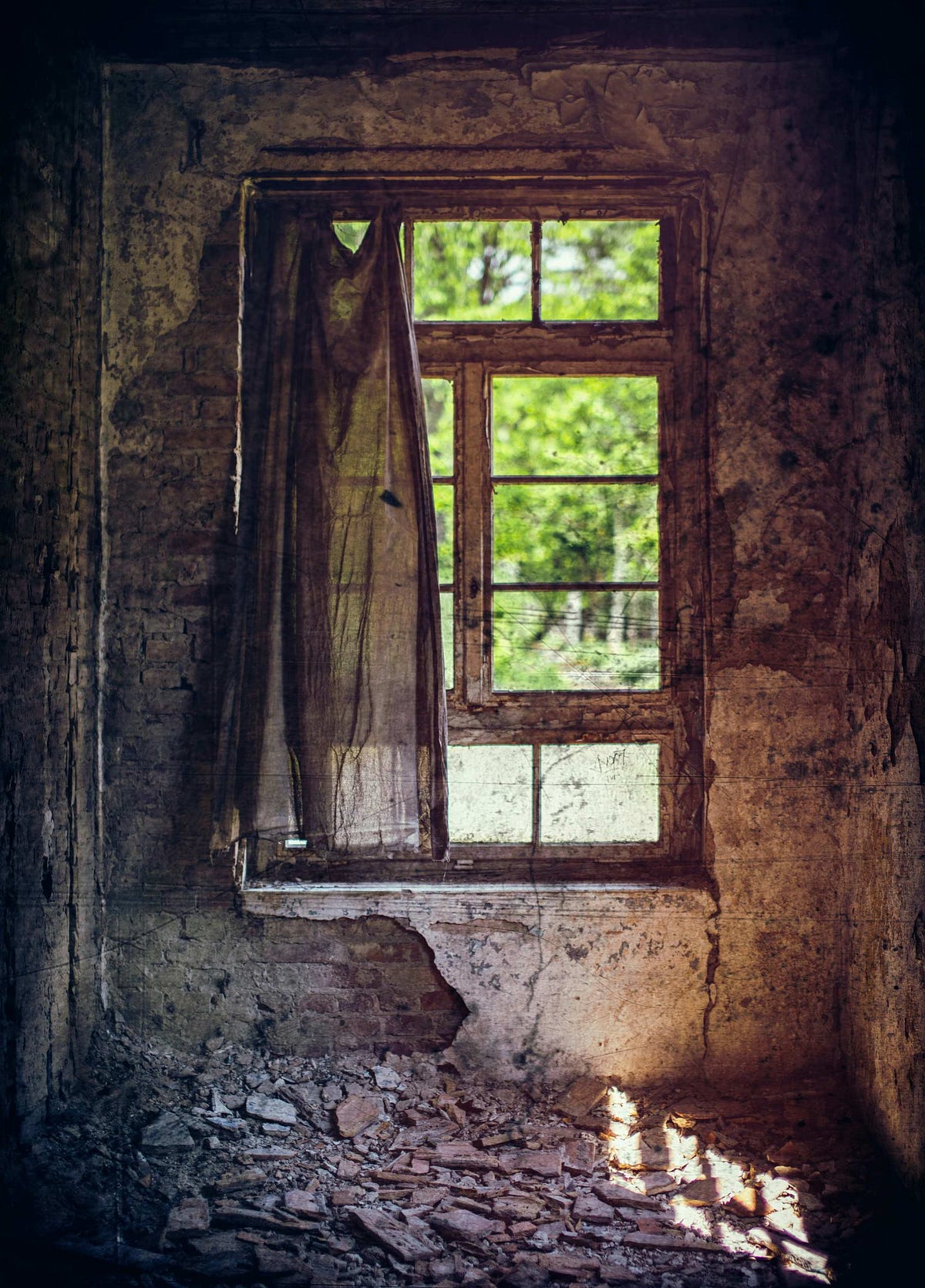 A sad window view: The latest round of Windows 11 updates presented ...