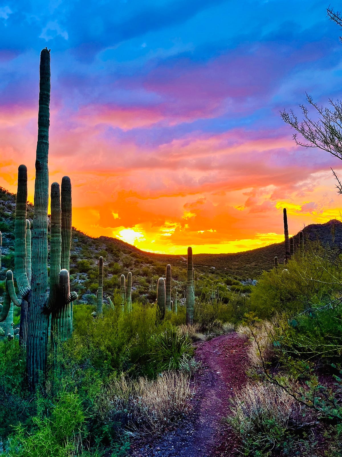 So You Want to Start Trail Running | by Jeff Barton | Runner's Life ...