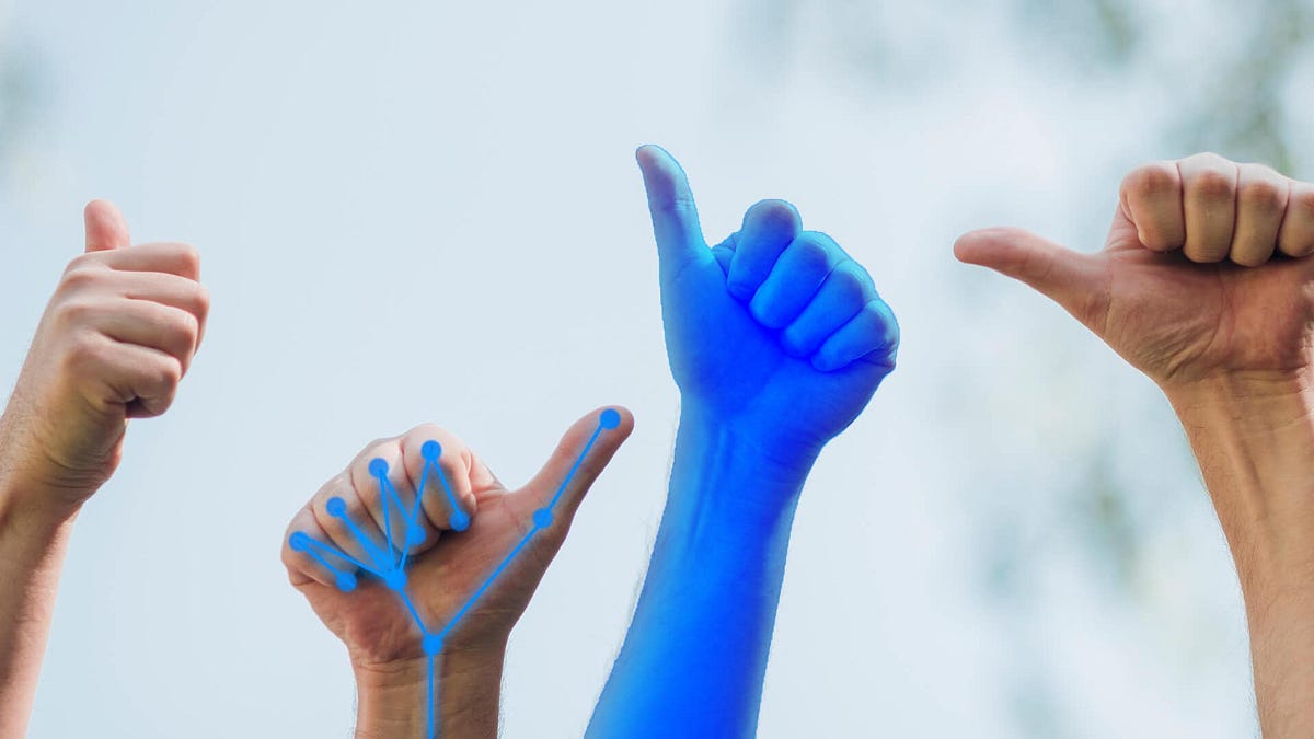 AI Hand Movement Recognition System — A quick guide | by Ashish Sengar ...