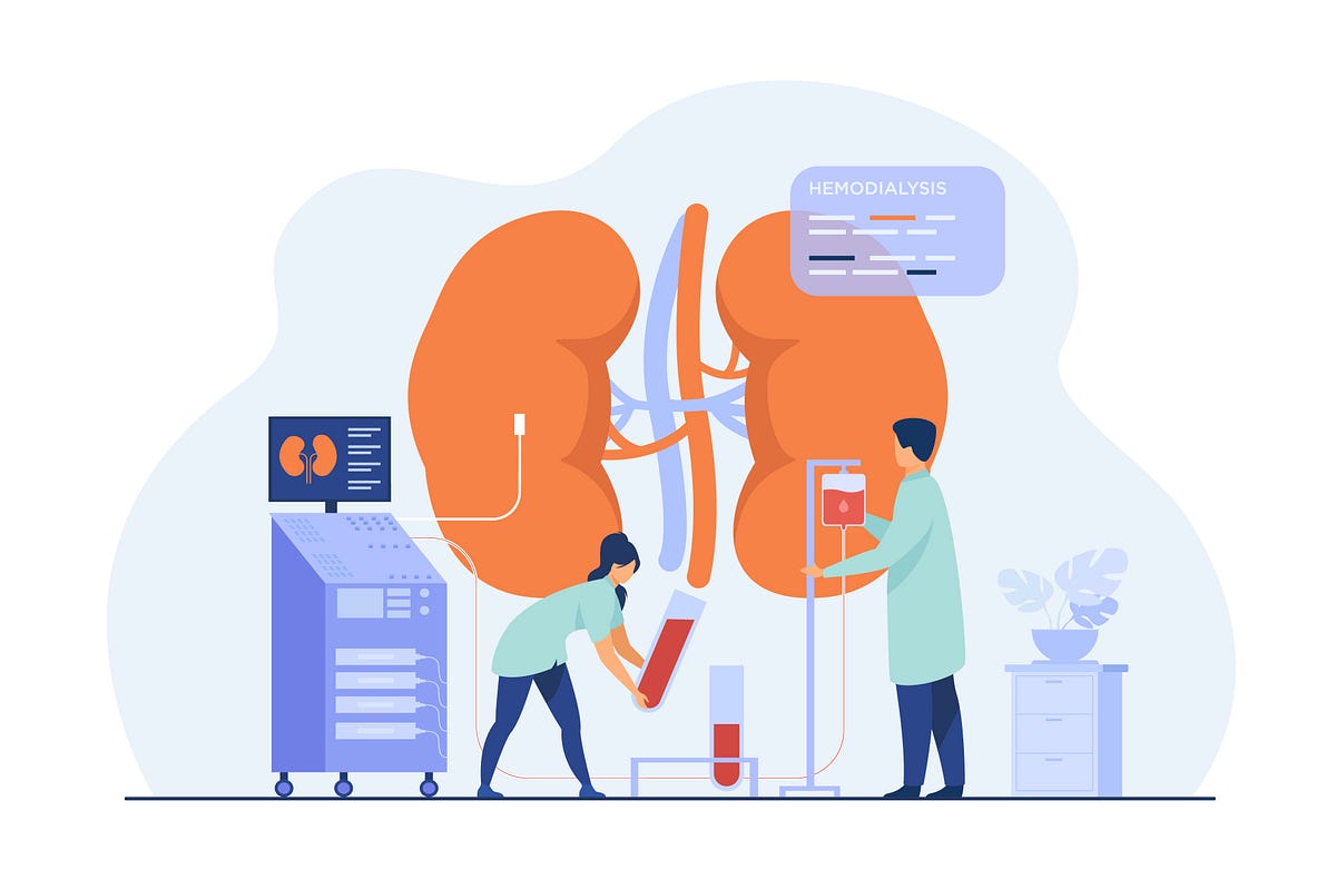 Know About Long Standing Disease of the Kidneys | by Elina Sherin | Medium
