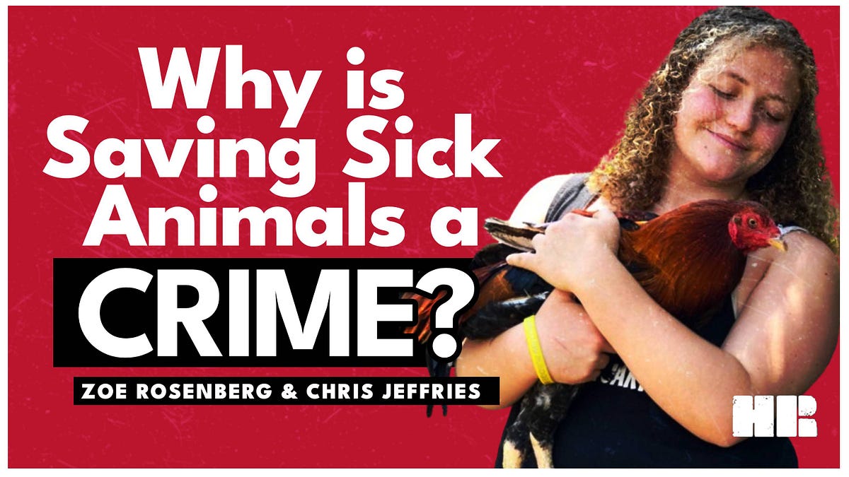 Beyond Veganism with Zoe Rosenberg & Chris Jeffries | by Chris Jeffries ...