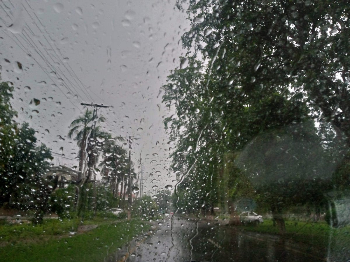 The Rain. Every drizzle takes me back to my… | by MAG | Medium