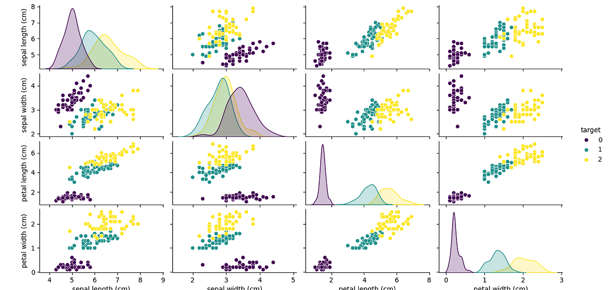 Demystifying Machine Learning: Building a Random Forest Model for Iris ...
