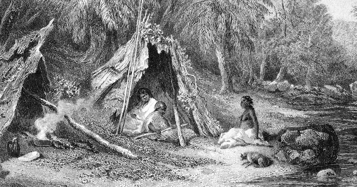 The first architects. ‘Gunyah, Goondie and Wurley’ by Paul… | by Dan ...