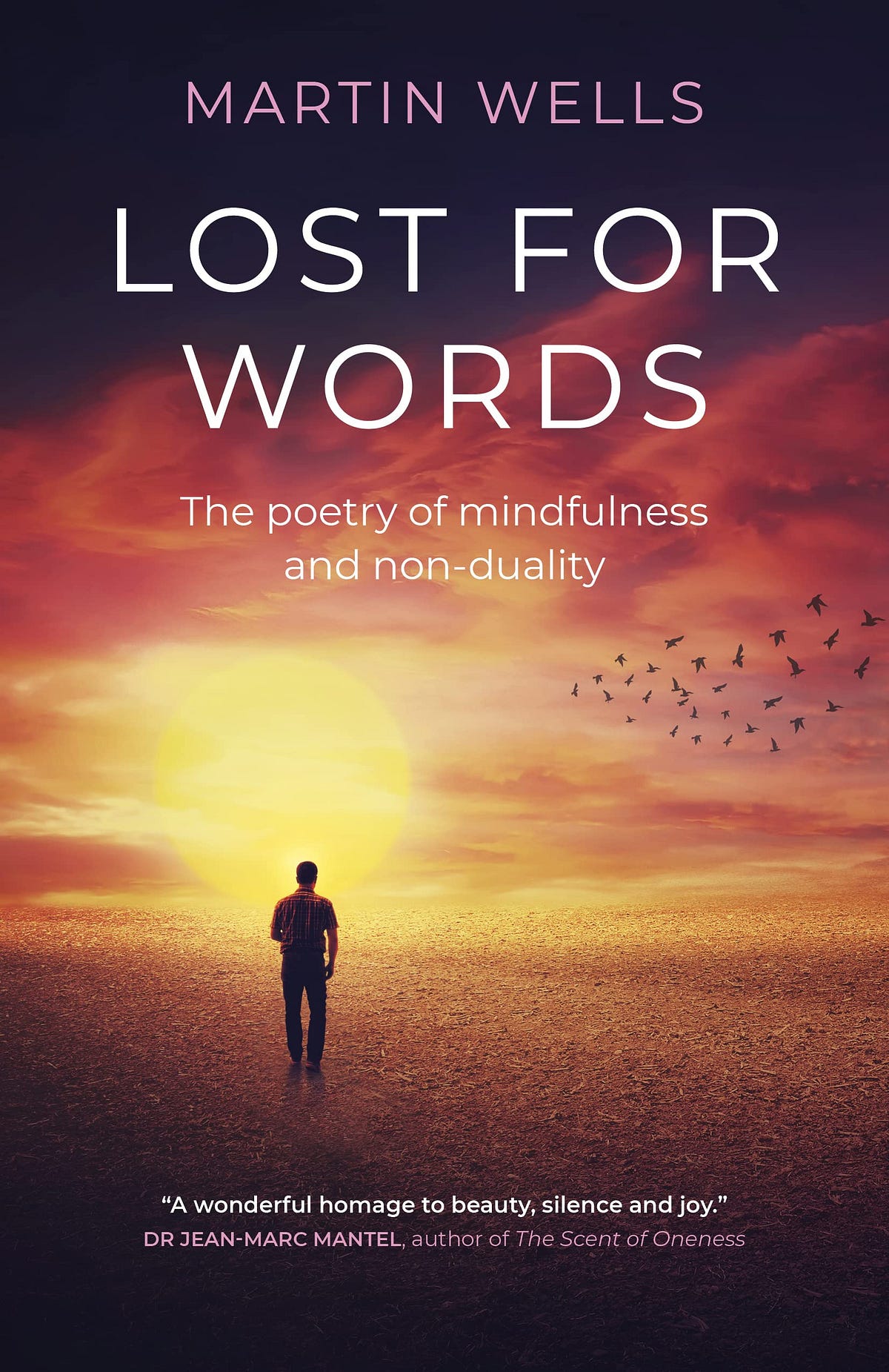 Lost for Words by Martin Wells. A Writer Shed Review | by David W ...