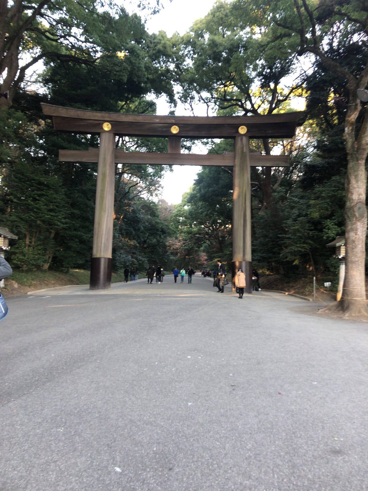 Recommended spots in Tokyo : Meiji-jingu - Yuu - Medium
