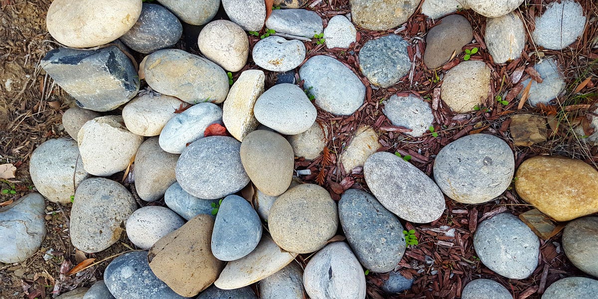 The Garden. Across the road, the entire hill… | by Maria Benet | Lit Up ...