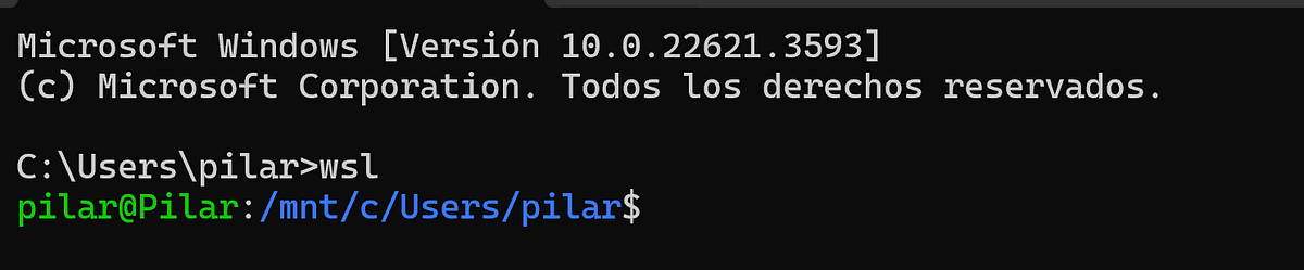 CodeGPT + WLS and Ollama. Some users ask us if it’s possible to… | by ...