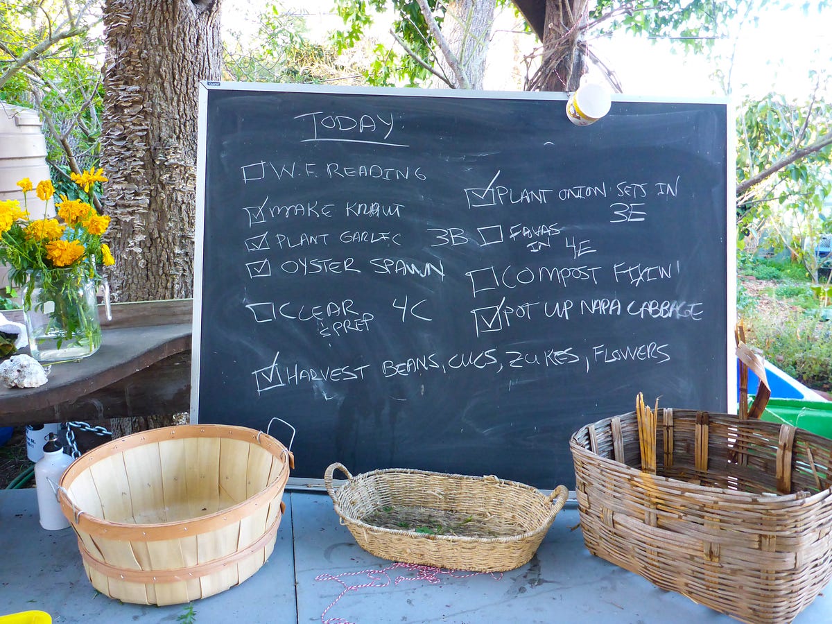 Photo Essay: Fall at USF Garden | by A Day Made Better | Medium