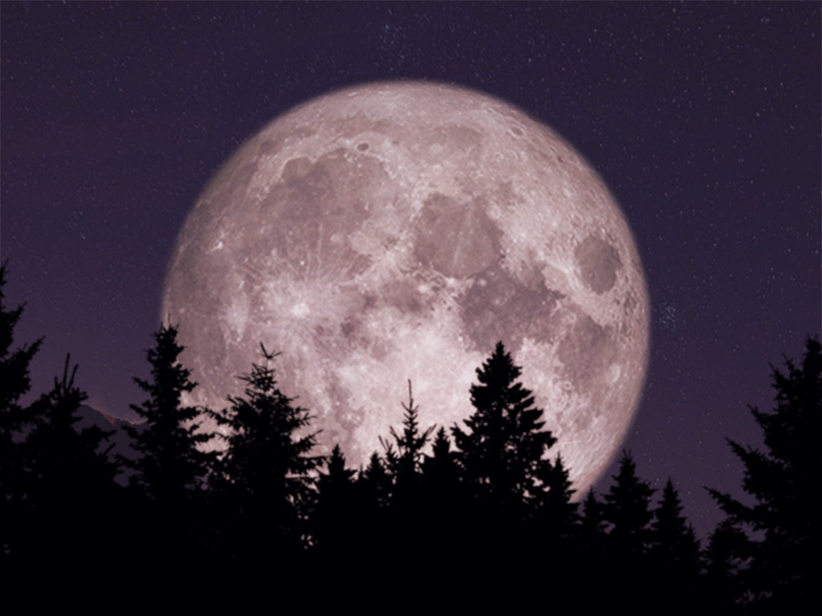 Facts about moon | by THE _FACTS | Medium