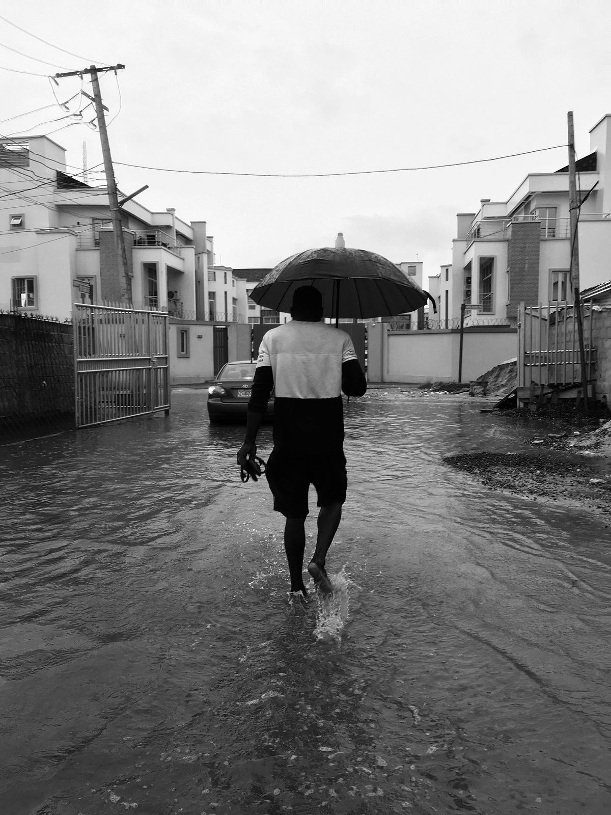 From Vulnerable to Valuable: How To Tackle Eco-Gentrification | by B ...