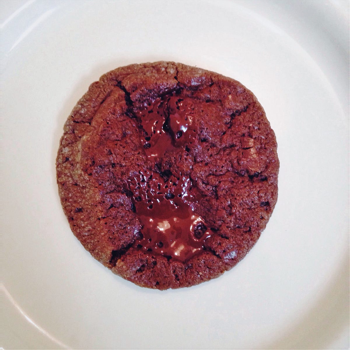 WPC — World Peace Cookies. I think it’s very appropriate that I… | by ...