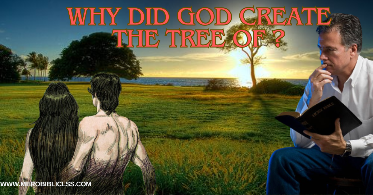 Why Did God Create The Tree of Good & Evil? | by Merobibliclss | Mar, 2024 | Medium