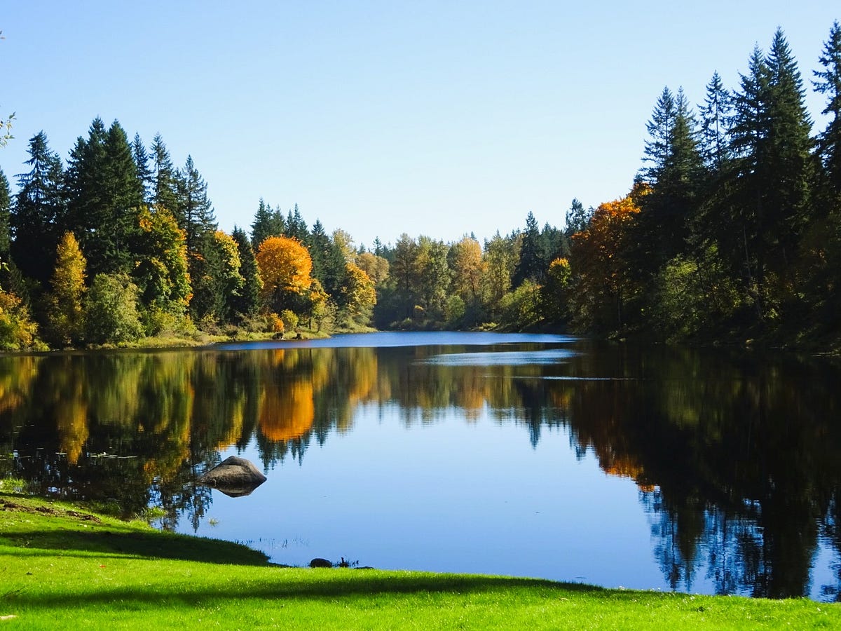 6 Top Tips for Adopting Mindful Intentional Pause Techniques in High ...