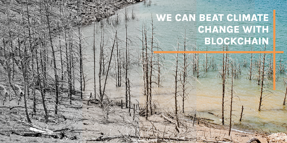 We can beat climate change with blockchain | by Ash Token | Medium
