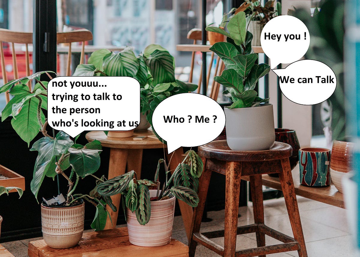 Plants Can Speak ¿. Photo by Ceyda Çiftci on Unsplash | by Bianco ...