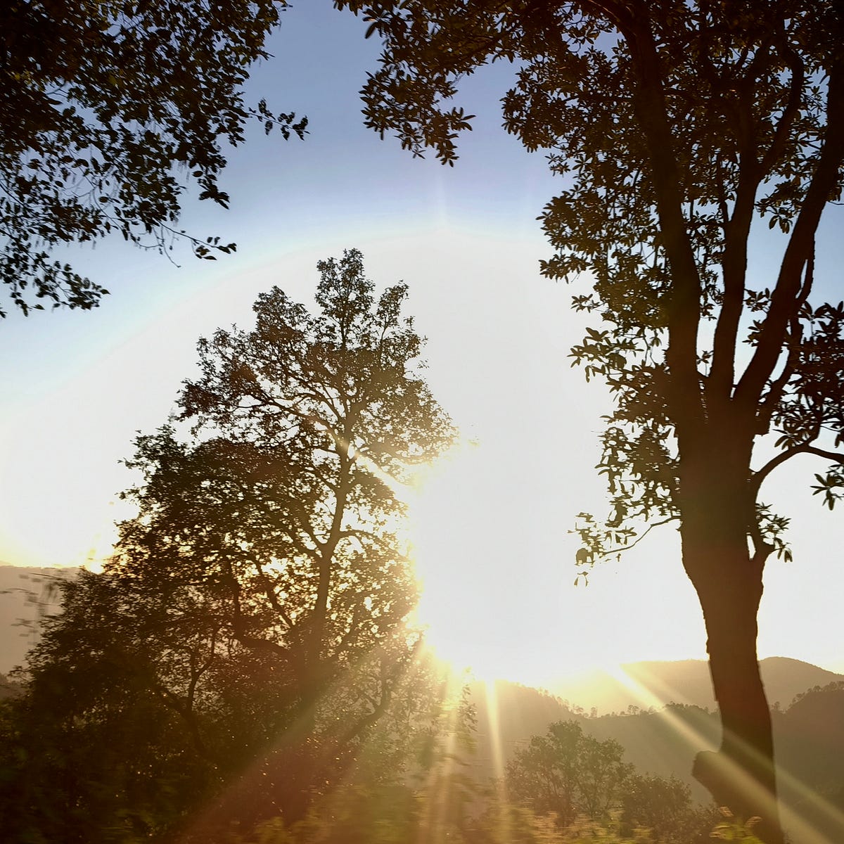 Shadowless Noon. Prose poem for competition | by Empirical Backyard ...