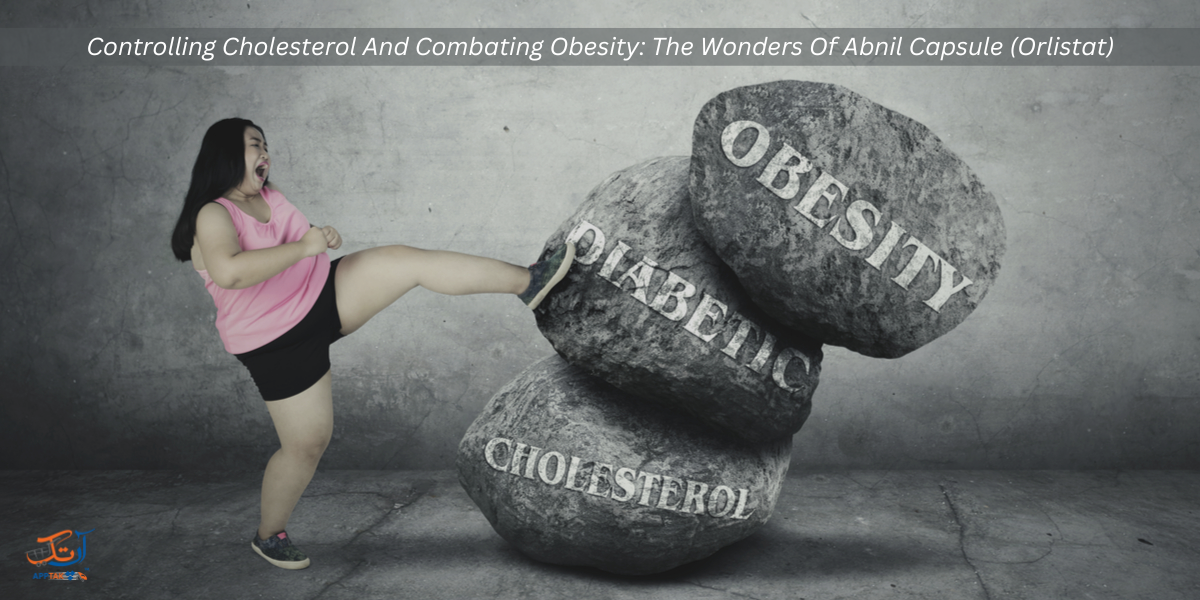 Controlling Cholesterol And Combating Obesity: The Wonders Of Abnil ...
