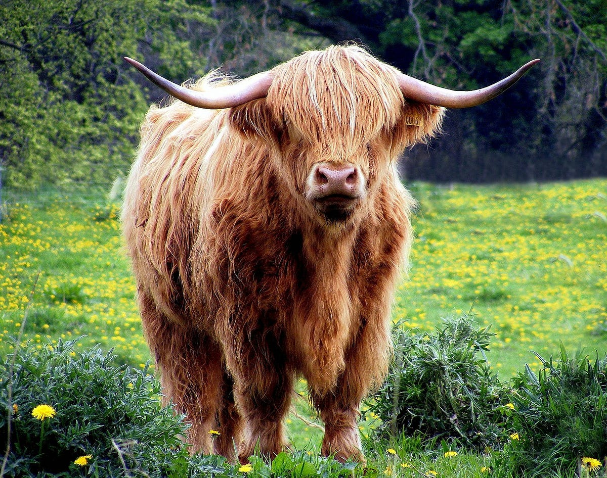 meaningfully-bullheaded-persistence-it-turns-out-is-the-by-vivek