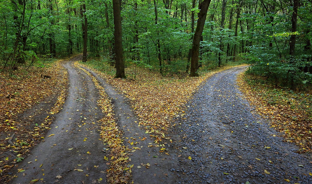 The Destination Is Not The Goal. There are many paths to one… | by ...