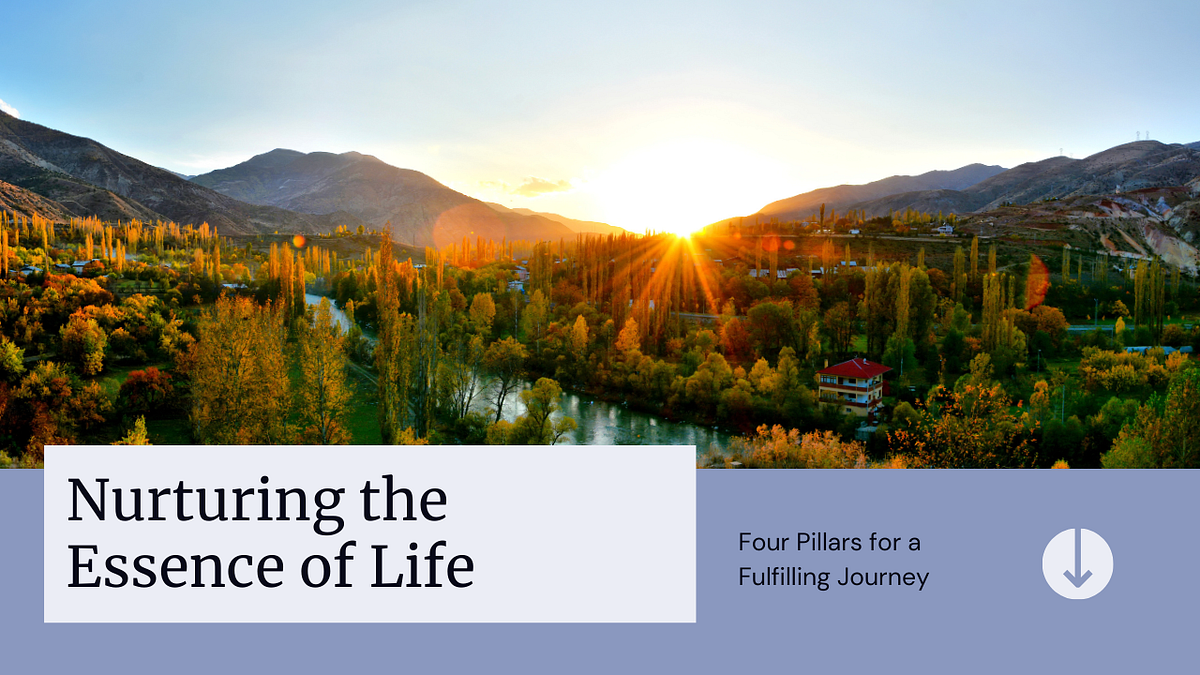 Nurturing the Essence of Life: Four Pillars for a Fulfilling Journey | by J-De-Havva | Dec, 2023 ...