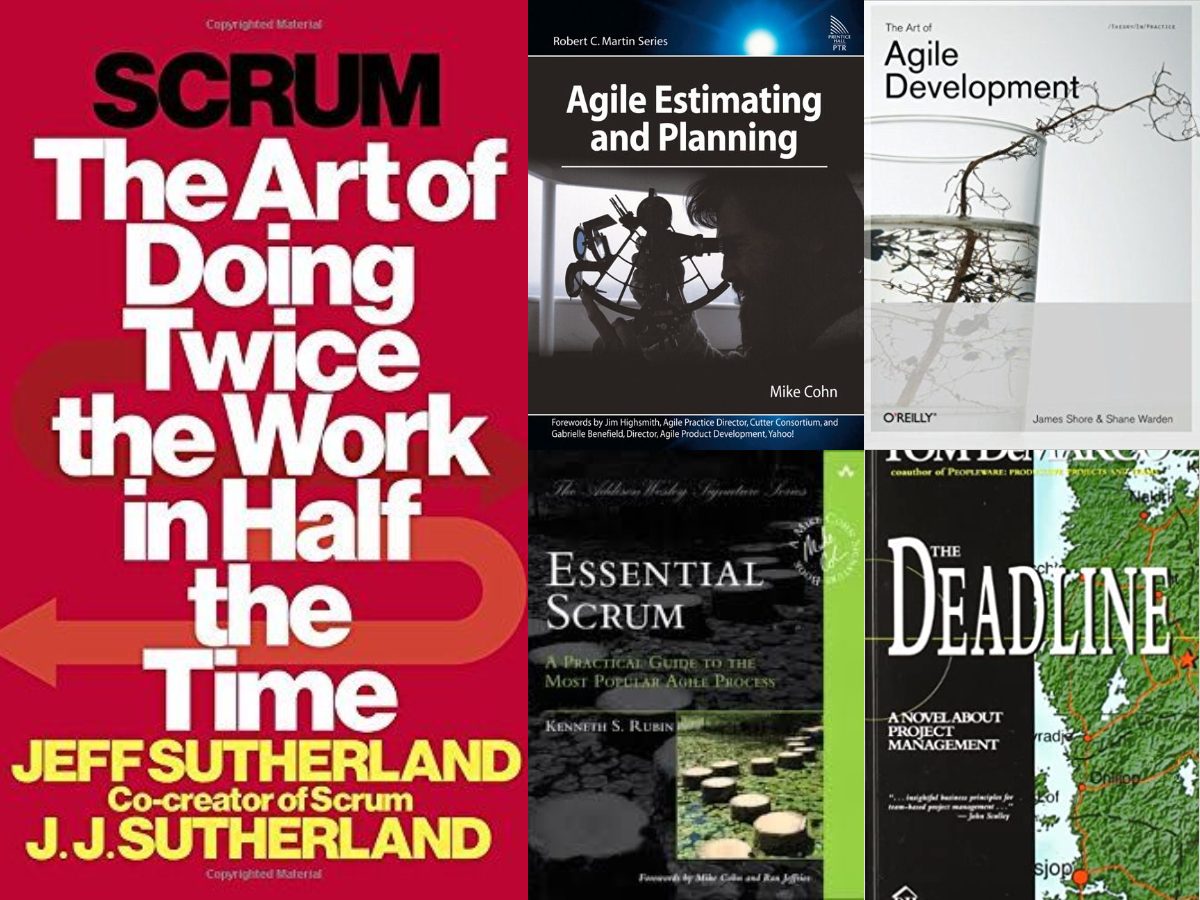 5 Best Agile and Scrum Books for Programmers and Software Developers | by javinpaul ...