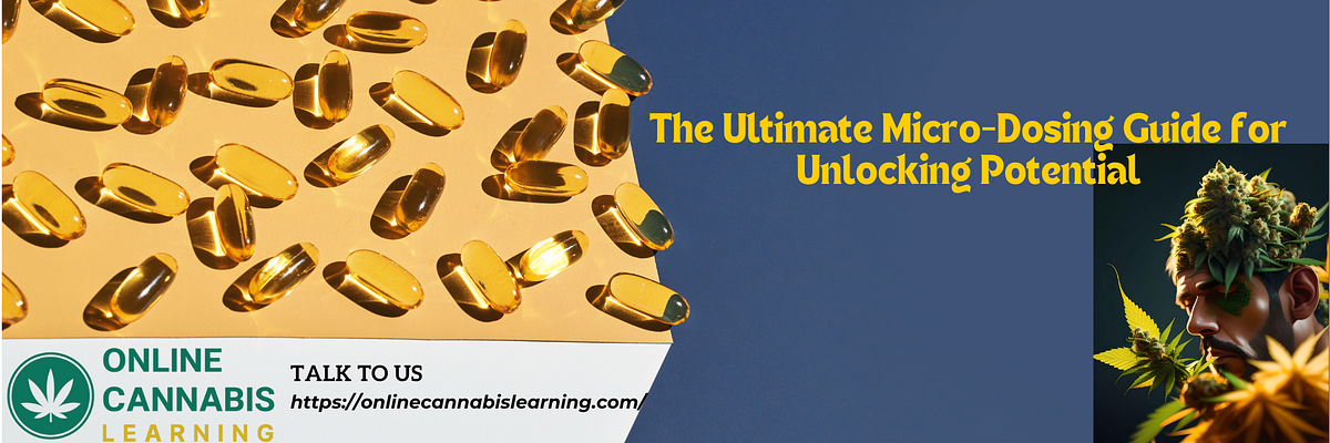 The Ultimate Micro-Dosing Guide for Unlocking Potential | by Radhika MP ...