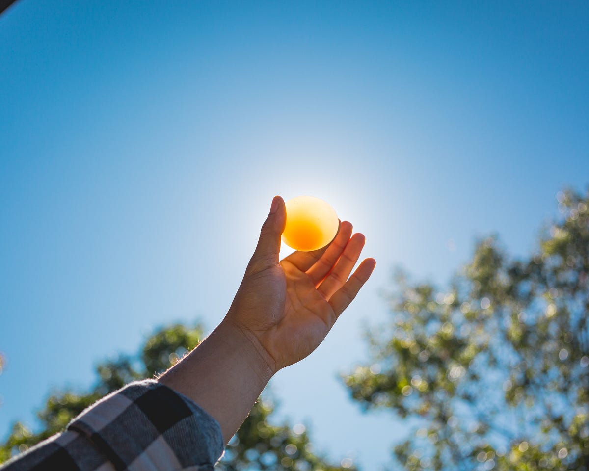 Disappearing Egg Shell Experiment | by Bayer US | The Beaker Life | Medium