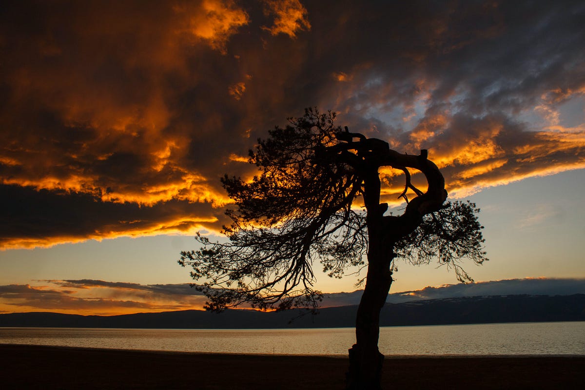 Rise Above the Storms. Embracing Strength and Hope | by Poonam Vashist ...