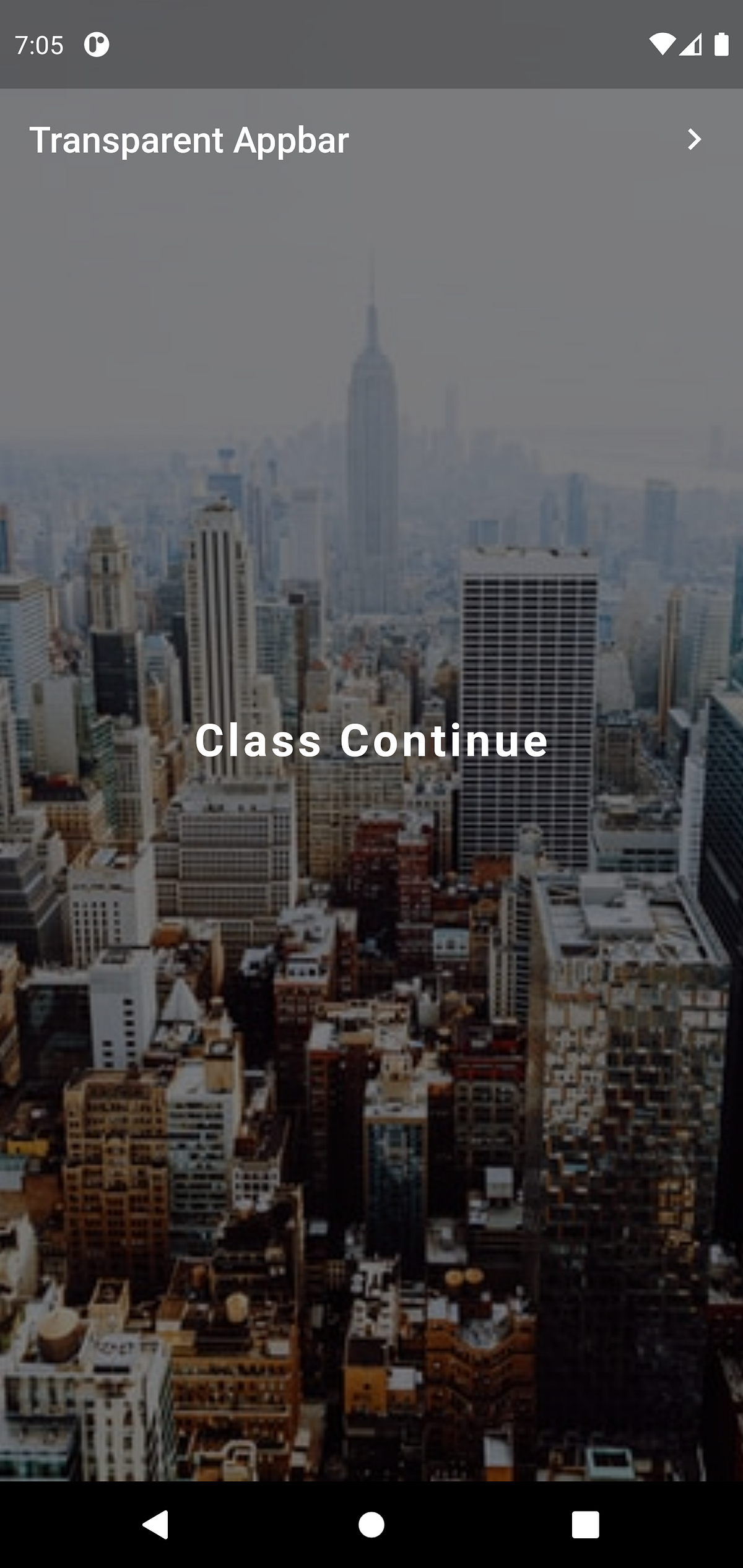Fullscreen Image With Transparent AppBar In Flutter - Class Continue ...