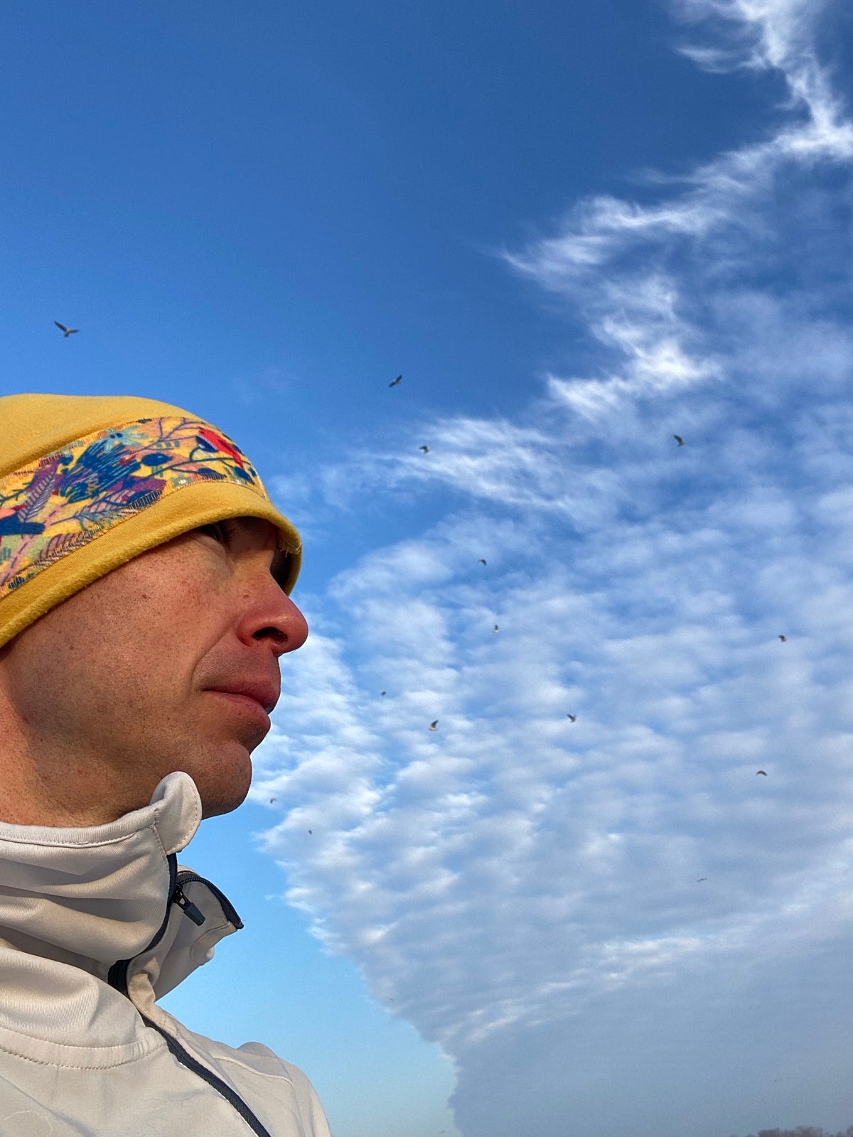 13.12.22 Morning running - Serj Springin - Medium