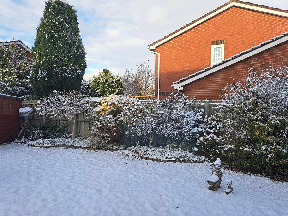 Forward planning, public speaking and snow is falling | by Katie ...