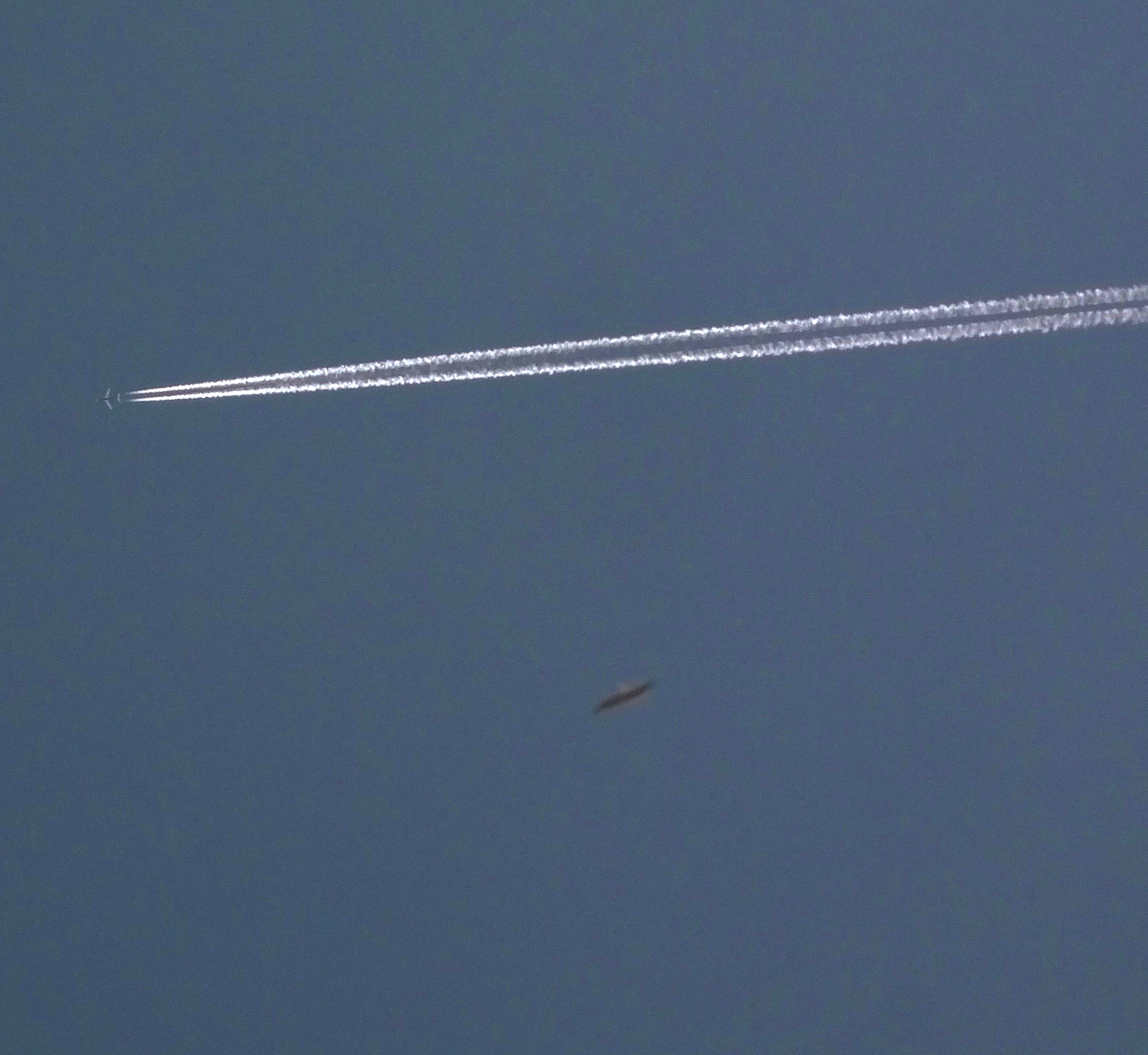 Long Anomalous Object Sighted By Plane, | by Johnmooner-chief | Medium