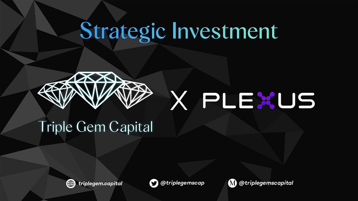 **Triple Gem Capital Invests in Plexus: Paving the Way for Cross-Chain Trading Revolution** | by ...