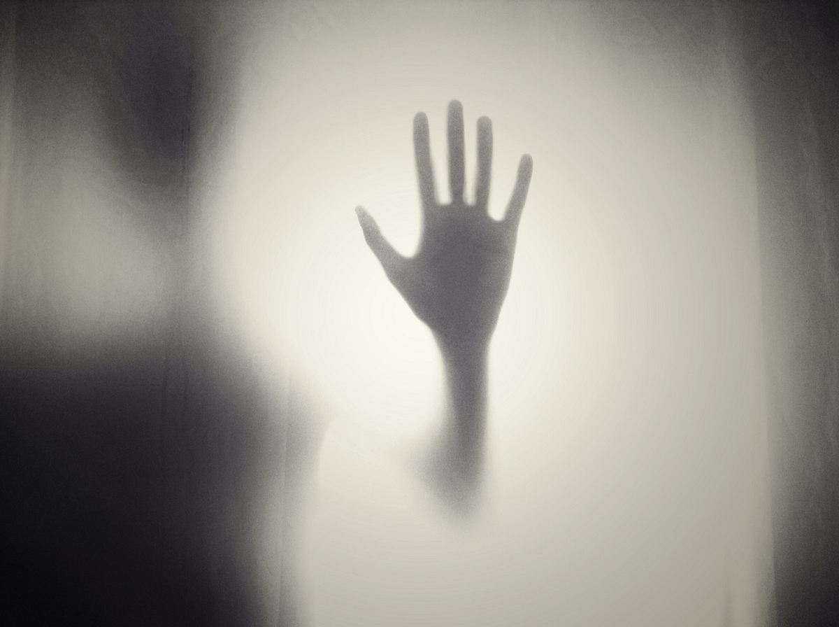 Chasing Ghosts!. Hunting down those ephemeral creatures… | by mel | The ...