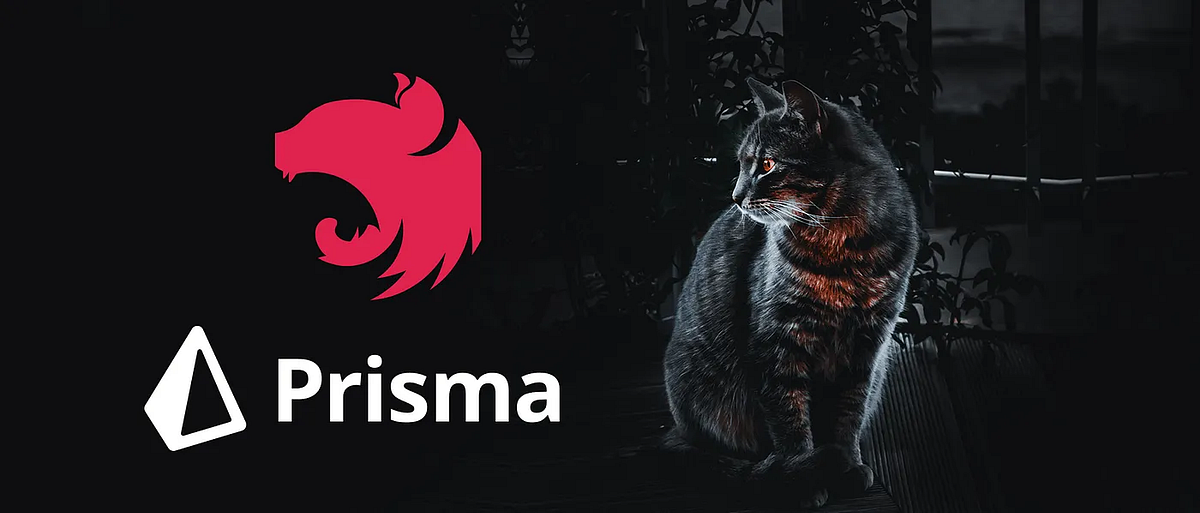後端框架 — Nest 使用 Prisma 套件. 透過 Prisma 操作 PostgreSQL 資料庫 | by 李學樺 Jeffery ...