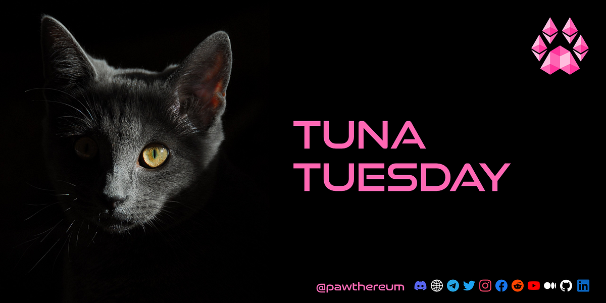 TUNA TUESDAY. Our regular Tuesday announcement is… | by Pawthereum ...
