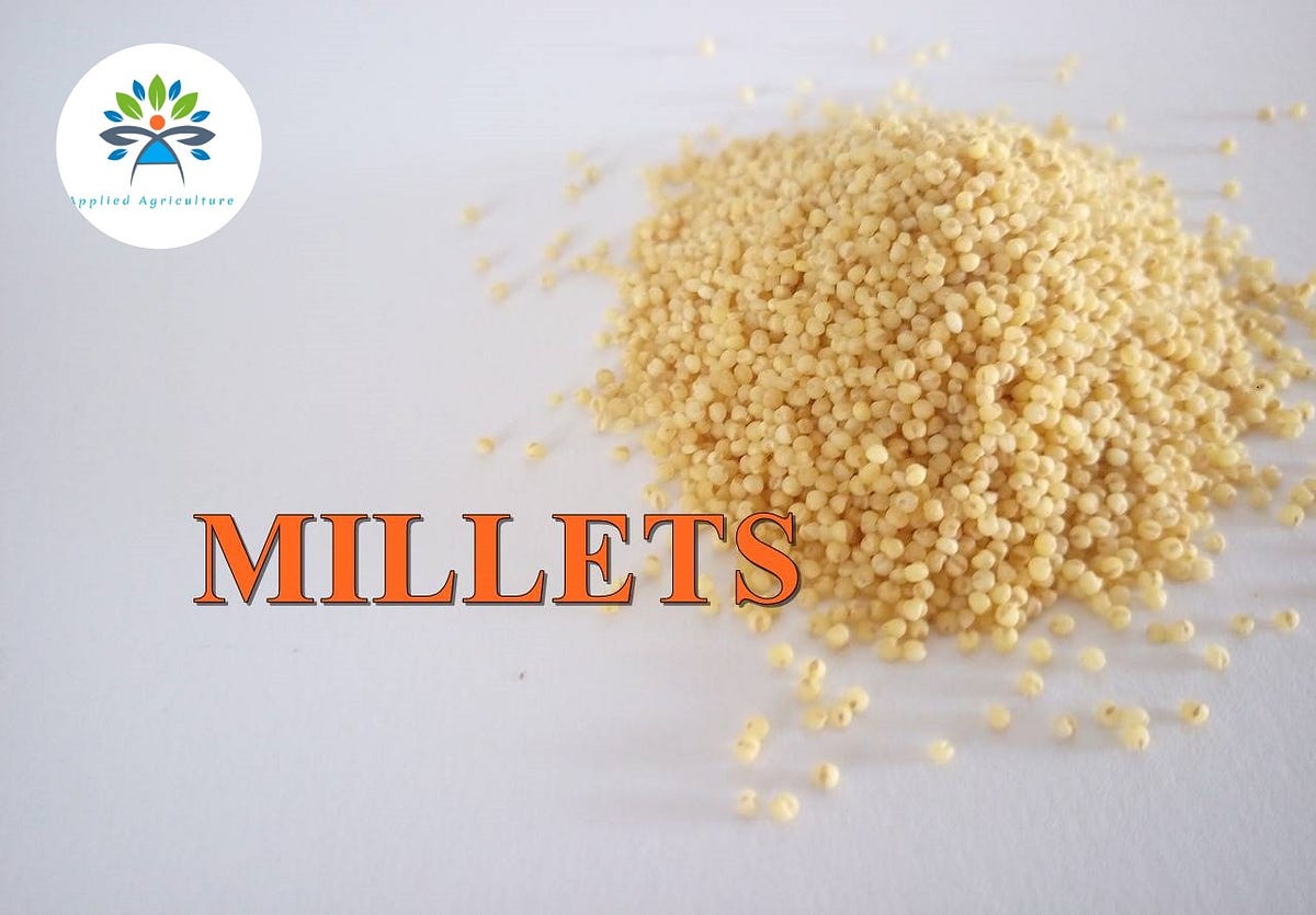 Millets and their health benefits | by soubhagya pradhan | Medium