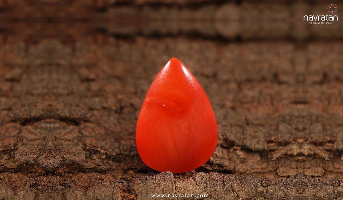 Red Coral: A Marine Gemstone Formed by Tiny Creatures | by ...