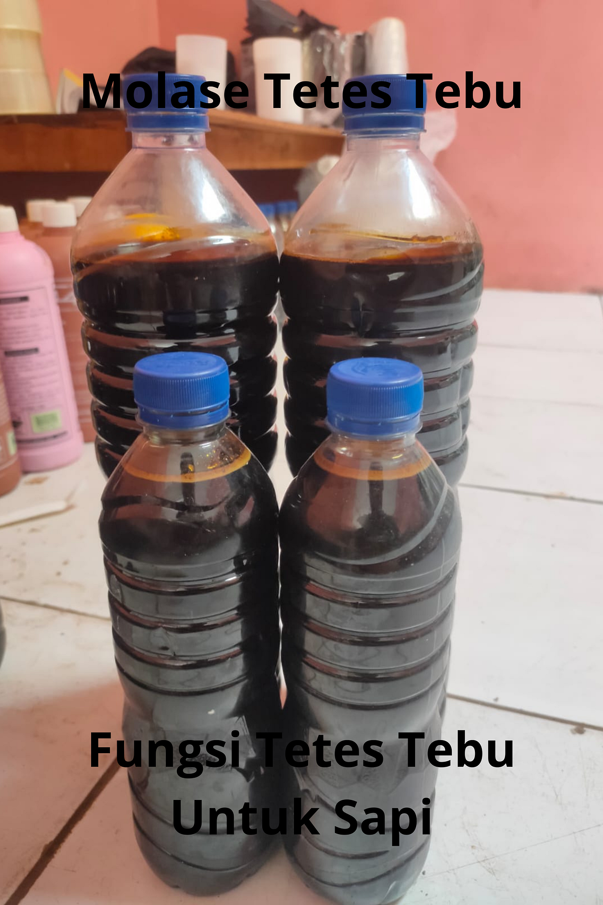 Fungsi Tetes Tebu Untuk Sapi | by Mamungstuff | Medium