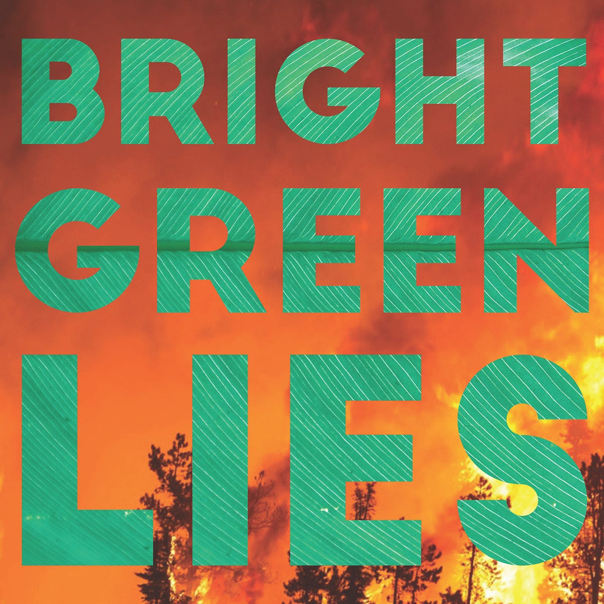 Why Today’s Bright Green Environmentalists Won’t Save the Planet | by Max Wilbert | Bright Green ...