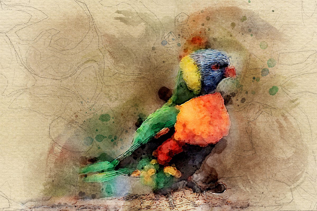 What Scares a Parrot? | Medium