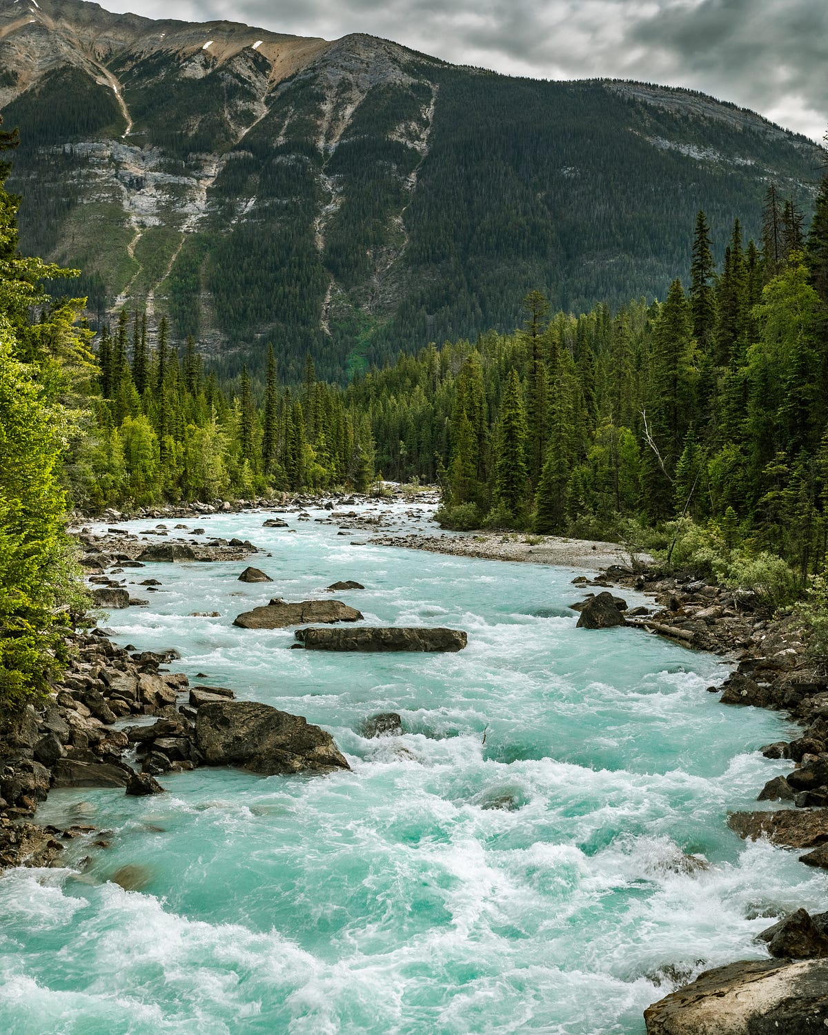 Flutter Widget — Streambuilderflutter Async Programming With Dart 