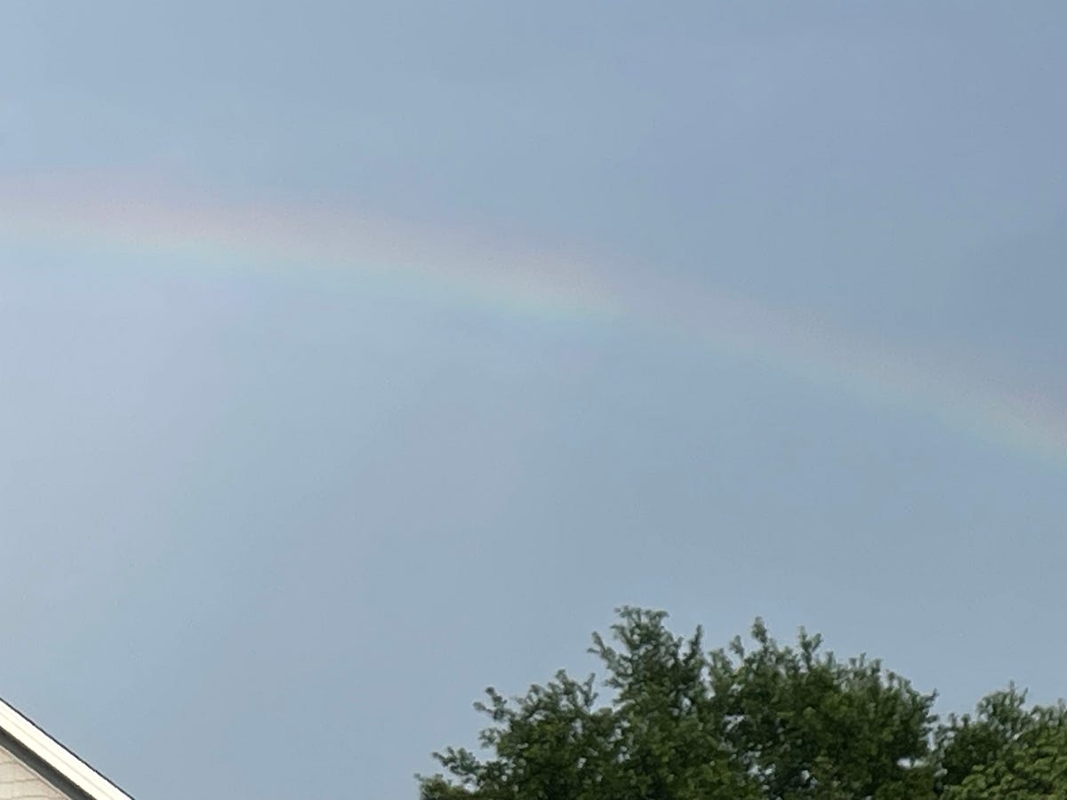 Rainbow Connection. I’ve heard it too many times to ignore… | by ...
