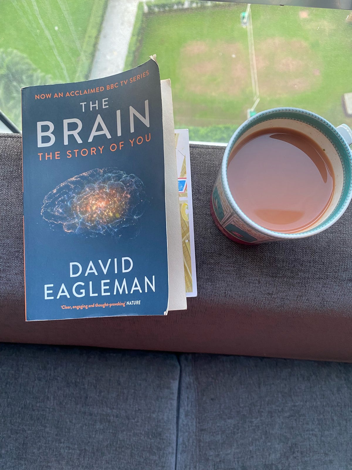 The Brain by David Eagleman – A review | by Kavitha Murali | Oct, 2024 ...