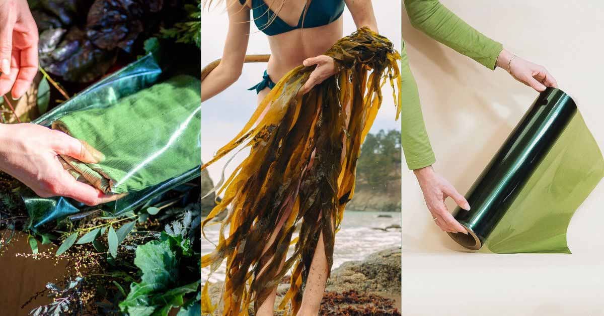 How ecological packaging works?. An Anthropocene’s Guide to design ...