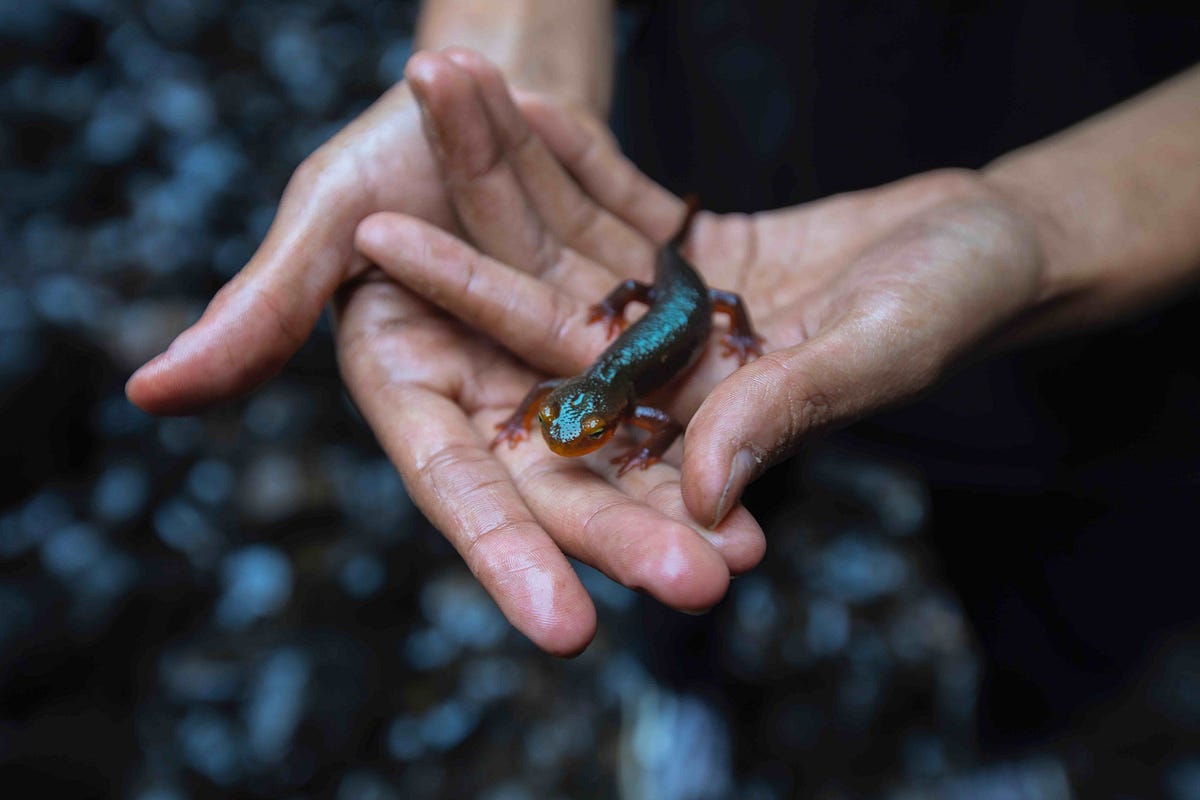 Life Becomes Increasingly Precious as We Realize How Rare It Is | by ...